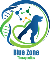 Blue Zone Therapeutics – Blue Zone Therapeutics